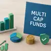 निवेशकों को पसंद आ रहा Multicap Fund