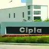 Cipla Final Dividend
