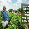 ३० जूनपर्यंत शेतकरी कर्जमाफीचा निर्णय