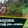 Panavally Tiger,കാല്‍പ്പാടുകള്‍ പിന്തുടര്‍ന്ന് മയക്കുവെടിസംഘം; കടുവയെ ...