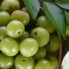 Amla For Hair Growth,മുടി വളരാന്‍ നെല്ലിക്ക ഏതെല്ലാം വിധത്തില് ...
