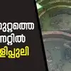 Leopard in Kannur Well: കിണറ്റിൽനിന്ന് ശബ്ദം, വീട്ടുകാർ നോക്കിയപ്പോ ...
