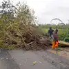 Cyclones In 2023,Year Ender 2023: ആഞ്ഞുവീശിയ ദുരിതം, നഷ്ടപ്പെട്ടത് ...