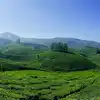 Munnar Tourism,മൂന്നാറിലേക്ക് സഞ്ചാരികളുടെ ഒഴുക്ക് ...