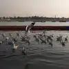 Maha Kumbh Mela Bird Festival,മഹാ കുംഭമേളയിൽ മൂന്ന് ദിവസം അന്താരാഷ്ട്ര ...