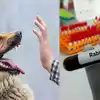 Rabies Prevention Tips,പേവിഷബാധ മരണങ്ങൾ തുടരുന്നു; മൃഗങ്ങളുടെ കടിയേറ്റാ ...