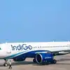 Indigo Flight Rat,ഇൻഡിഗോ വിമാനത്തിൽ എലി; തിരച്ചിലോട് തിരച്ചിൽ, വിമാനം ...