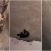 Kottayam Mupli Beetle Nuisance,ലൈറ്റിട്ടാൽ പറന്നെത്തും! പൊറുതി മുട്ടി ...