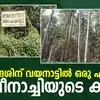 Video Of Wayanad Beenachi Estate,ബീനാച്ചി എസ്റ്റേറ്റ് വിട്ടുനല്‍കമെന്ന് ...