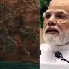 Cheetah Asha Pregnant,Cheetah Asha:മാനസിക സമ്മർദ്ദം, ആശയുടെ ഗർഭം അലസി ...