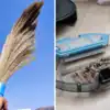 नवीन आणलेल्या केरसुणीतला भुसा या ४ पद्धतीने काढून टाका, एका दिवसात ...
