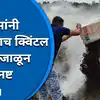 Jalna news Paradh Police Caught Weed Farming And Sezied All Weed Plants ...