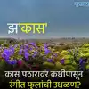 Best Time to Visit Kas Pathar or Kaas Plateau in Satara; सातारा कास ...