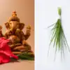 Durva Grass Health Benefits According To Ayurveda; गणरायाला वाहणाऱ्या ...