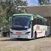 Pune Solapur 10 E Shivai Bus 20 Rounds Per Day; पुणेकरांसाठी गुड न्यूज ...