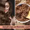 Flax Seeds Use For Hair Growth Beauty Tips And Benefits; केसांसाठी ...