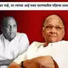 Sharad Pawar Birthday Education And Career In Marathi : कॉलेजमध्ये ...