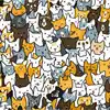 Optical Illusion Puzzle Find Rabbit Hidden Among The Cats - निळ्या ...