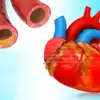 Signs And Symptoms Of Heart Blockage And Heart Attack Coronary Scan For ...