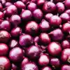 54 Thousand Tons Of Onion Will Be Exported Traders Can Export Onions To ...
