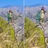 Women Sitting on Top Of Tree For Instagram Reels dangerous Video Viral ...