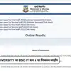 MU Bsc IT Sem 6 Results : Mumbai University चा बीएसस्सी आयटी सत्र ६ चा ...
