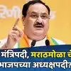 jp nadda in cabinet bjp set to elect new party president vinod tawde ...