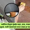 Home Remedies Tricks For Get Rid Of Insects, Mosquitoes, Lizard ...