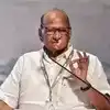 सत्तारुढ झालेल्यांना शरद पवारांकडून पुन्हा चिमटे, कार्यकर्त्यांच्या ...