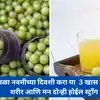 easy amla navami recipe details in marathi; आवळा नवमीच्या दिवशी करा या ...