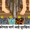 Optical Illusion Puzzle Which way is safe 1 2 or 3 Which box will you ...