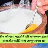 How To Eat Curd In Winter, What Time Is Best For Eating Curd For Making ...