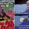 Who should single people give flowers to on Rose Day Funny memes go ...
