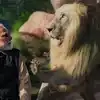 PM Narendra Modi playing with lions in the Vanatar Wildlife Sanctuary ...