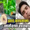 Sindhudurg Man Nagesh Mayekar dies after Wood Cuter Machine hits Thigh ...