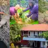 Madhugandha Kulkarni Paresh Mokashi Farmhouse: मराठमोळ्या सेलिब्रिटी ...