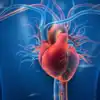 Symptoms And Signs Of Blood Gets Cold In Veins; नसांतील रक्त थंड ...