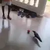 Crow Playing Football in Goa Video Goes Viral | तुम्ही कधी फूटबॉल ...