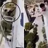 Terrifying Rooftop Stunt Goes Wrong Viral Video Shocks Internet | OMG ...