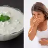 Mistakes While Eating Curd, Best Time To Eat Curd; दही खाताना करू या ...