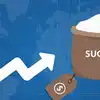sugar stocks surge up to 15% ; Sugar Stocks : शेअर बाजाराच्या तेजीत ...