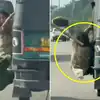 Punjab Tigress Brave Woman Fights Three Goons in Moving Rickshaw Video ...