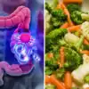 Colon cancer symptom, signs, causes and diet; आतड्यांच्या कॅन्सरची ...