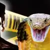Kanpur In Laws Locked Married Woman In Room And Bitten By Snake For ...