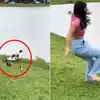 Brave Mother Duck Attacks Woman to Save Her Baby Duckling Video goes ...