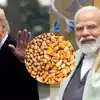 Donald Trump: भारताच्या मित्रासह दोन देश नडले, ट्रम्पना भिडले; मका ...