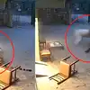 Tiger Attack on Watchman in Chandrapur Viral Video Turns Out to Be AI ...