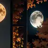 Moon Remedy : कुंडलीत चंद्र खराब असेल तर होतो भावनिक त्रास व चेहरा खराब ...