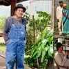 Dharmendra lonavla farm house and net worth; उतारवयात लोणावळ्यातल्या या फार्महाऊसवरच राहायचे ...