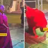 75 Year Old Grandma Goes Viral for Energetic Dance and Stunning Front ...